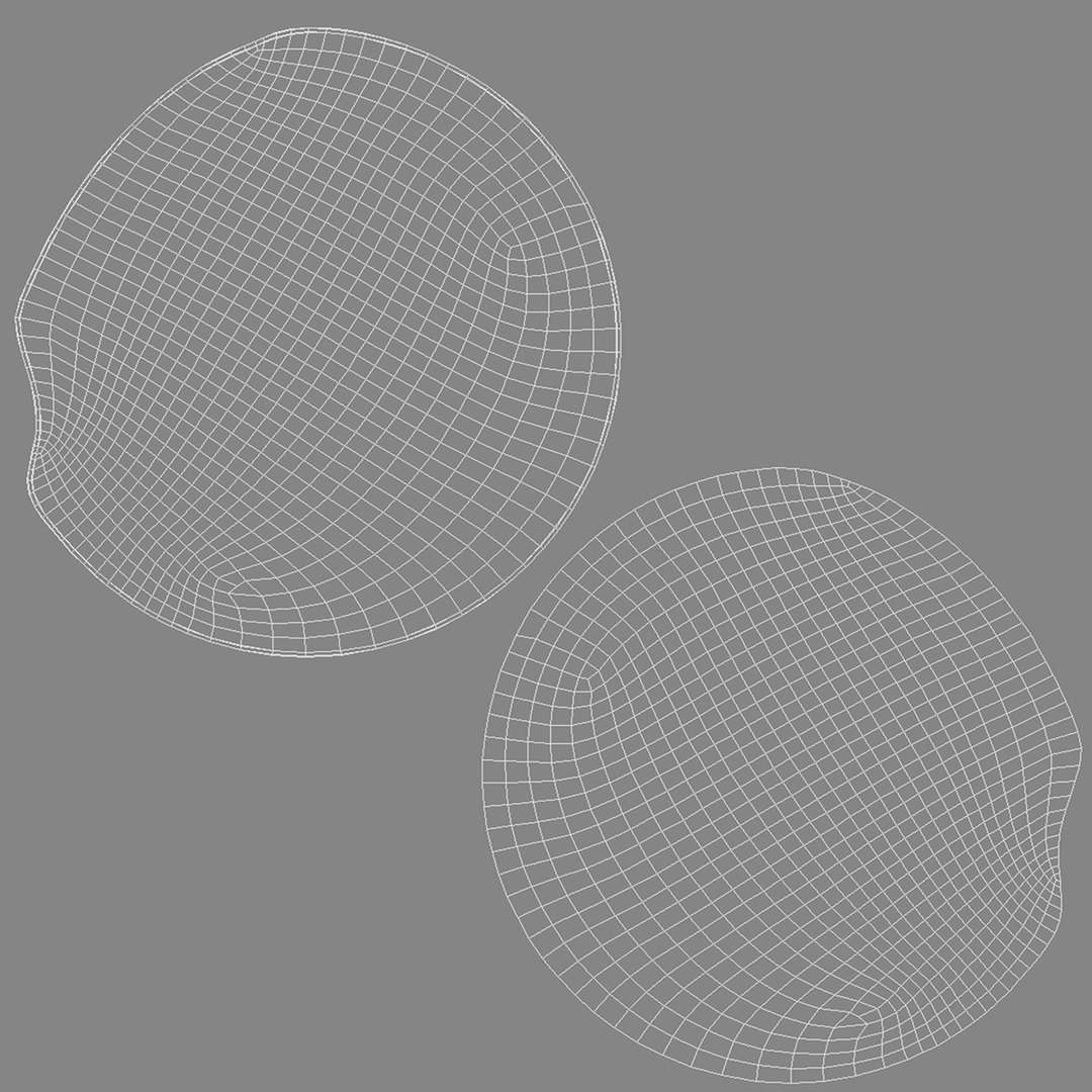 3D Model Two White Round Stickers - Smooth And Curved Sticky Labels ...