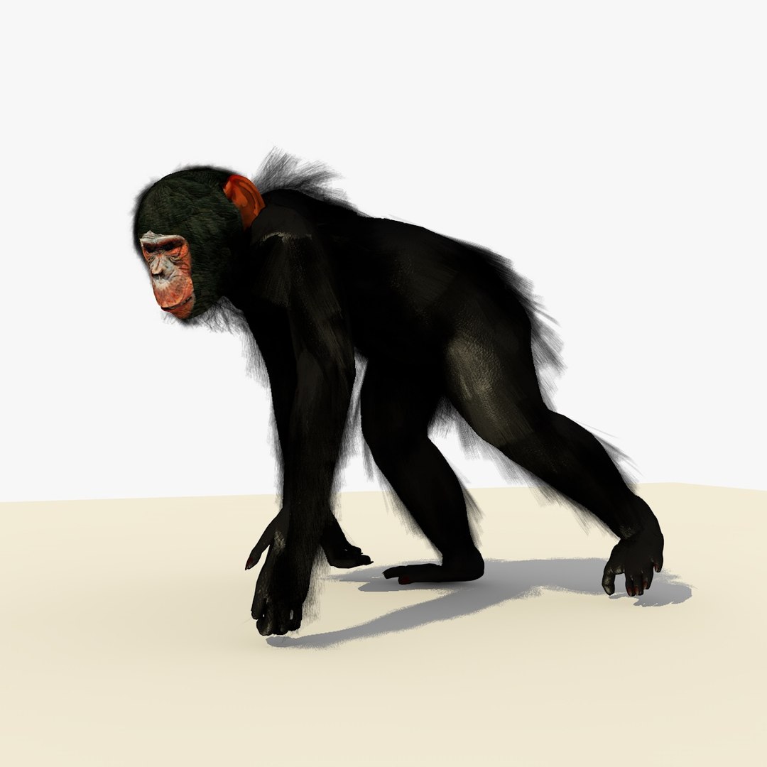 chimpanzee walking pose fur 3ds