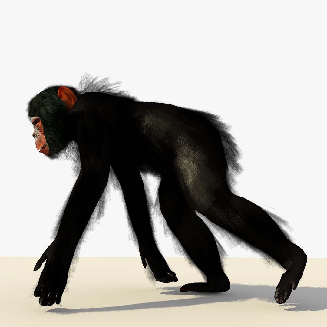 chimpanzee walking pose fur 3ds