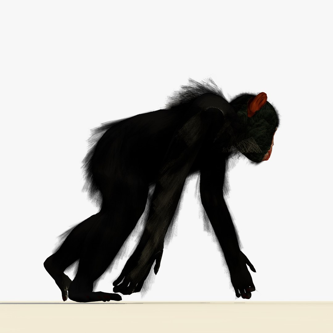 chimpanzee walking pose fur 3ds