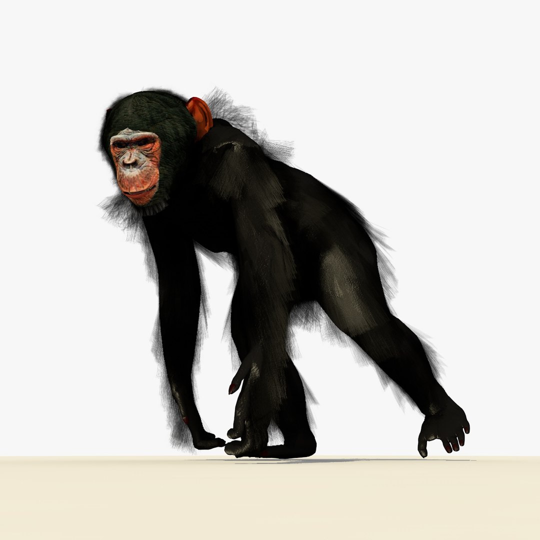 chimpanzee walking pose fur 3ds