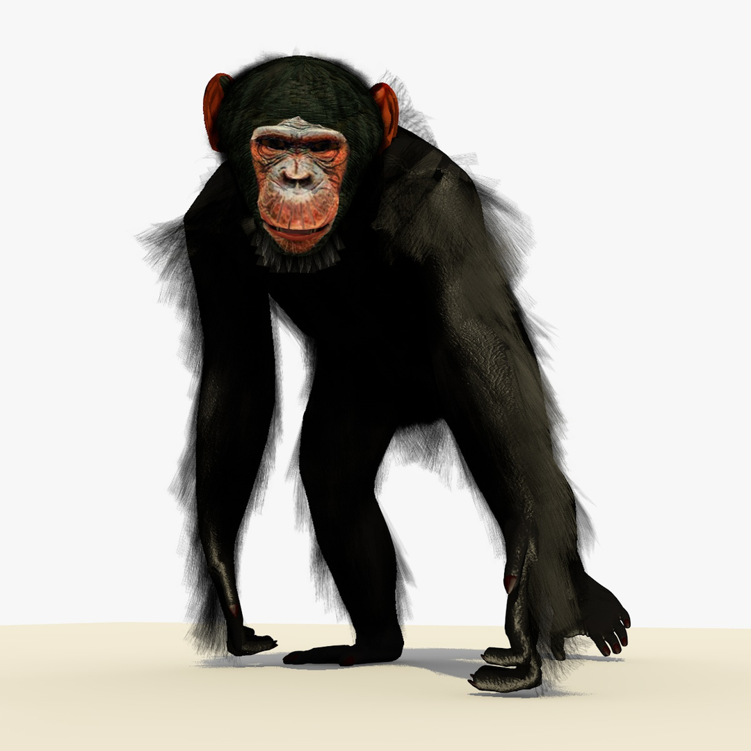 chimpanzee walking pose fur 3ds