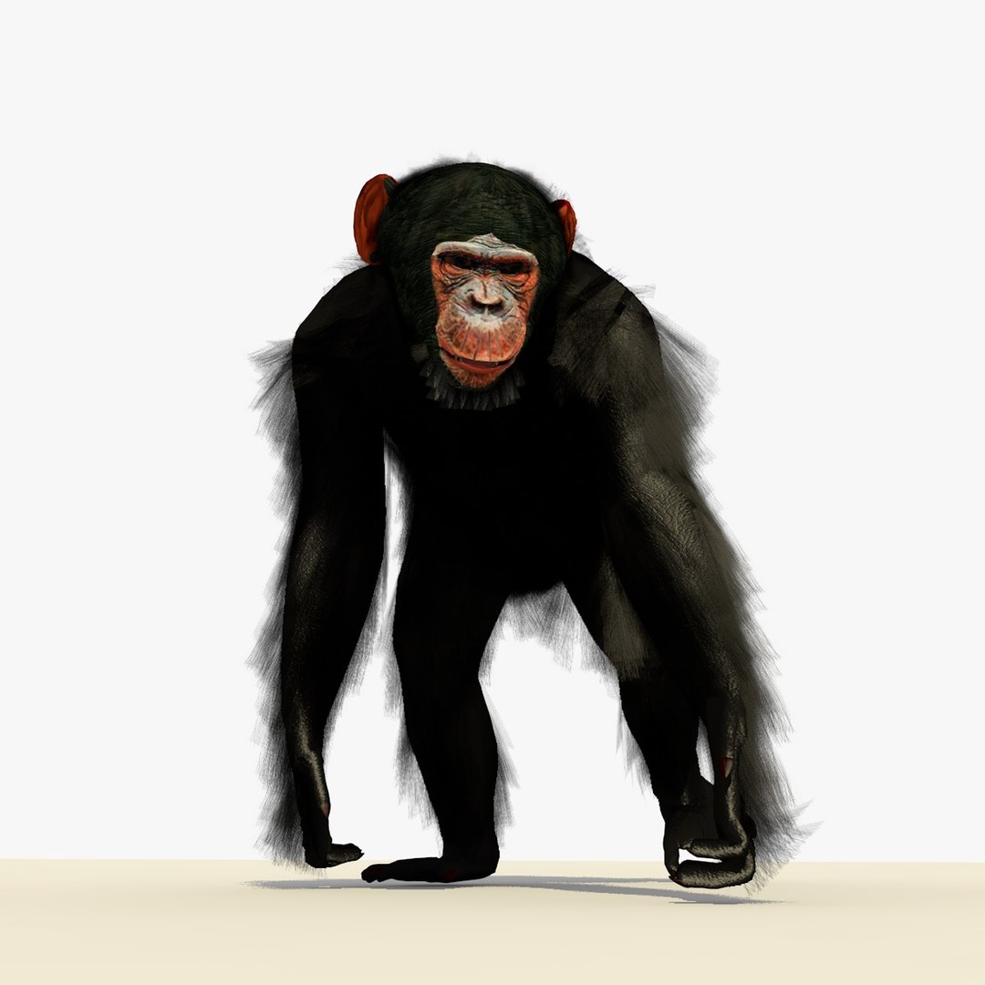 chimpanzee walking pose fur 3ds