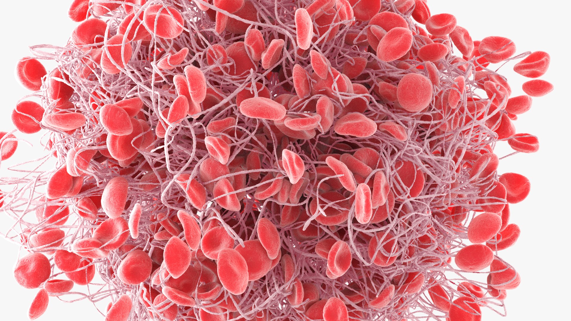 3D Blood Clot Model - TurboSquid 1948928