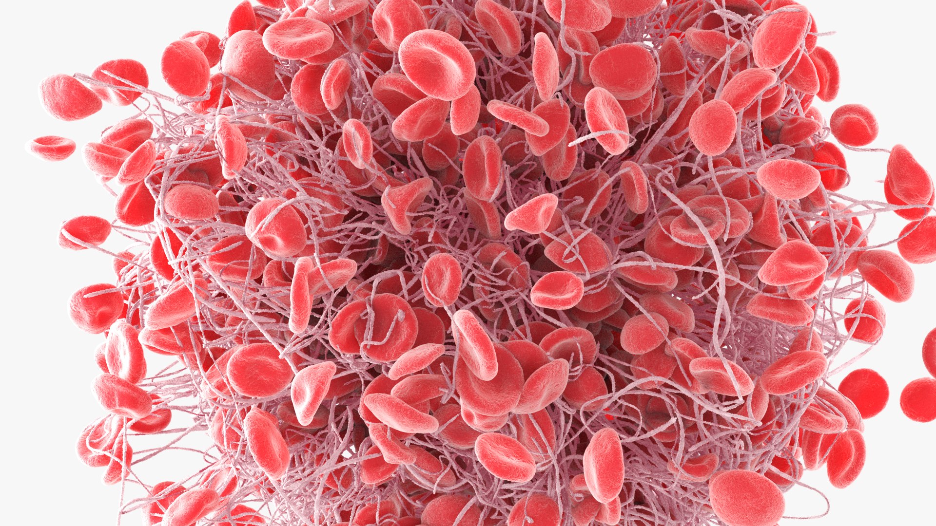 3D Blood Clot Model - TurboSquid 1948928