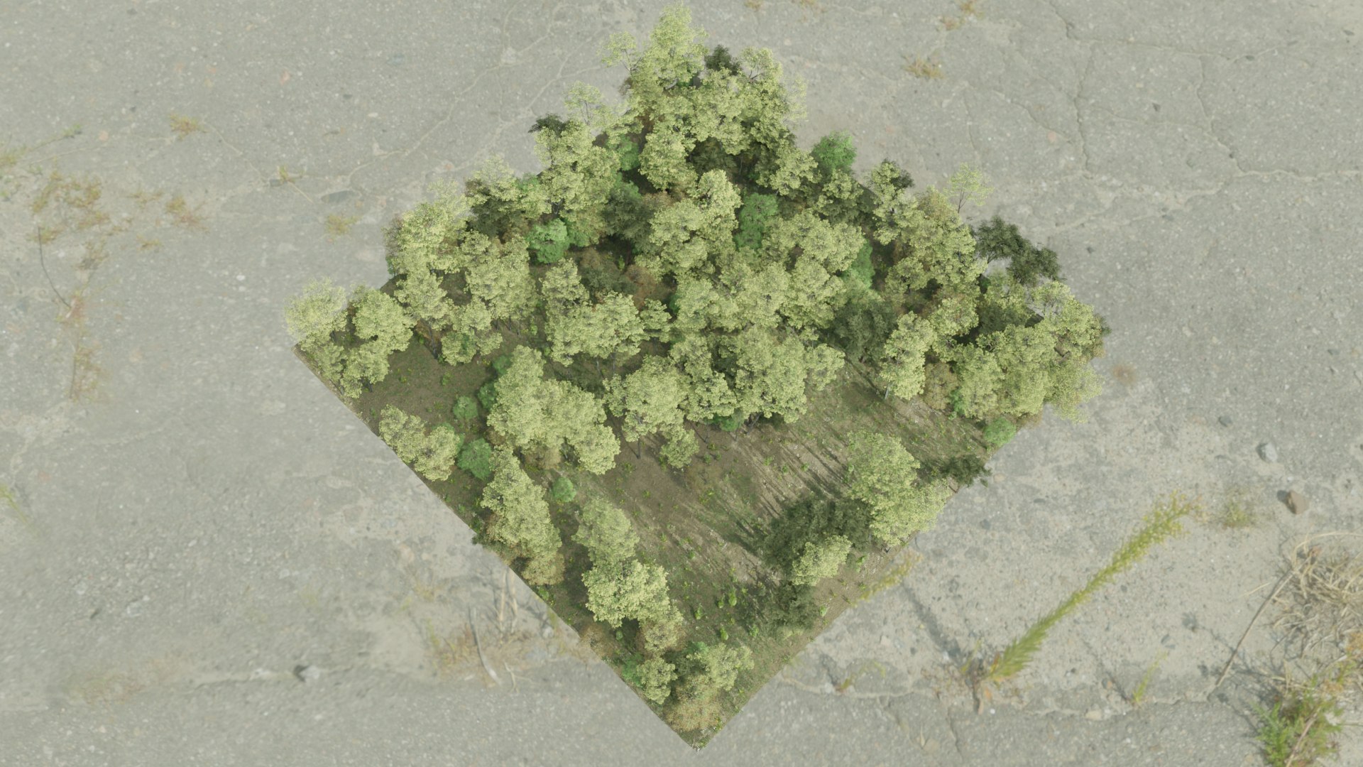 Most Realistic FOREST 3D Model - TurboSquid 2294892