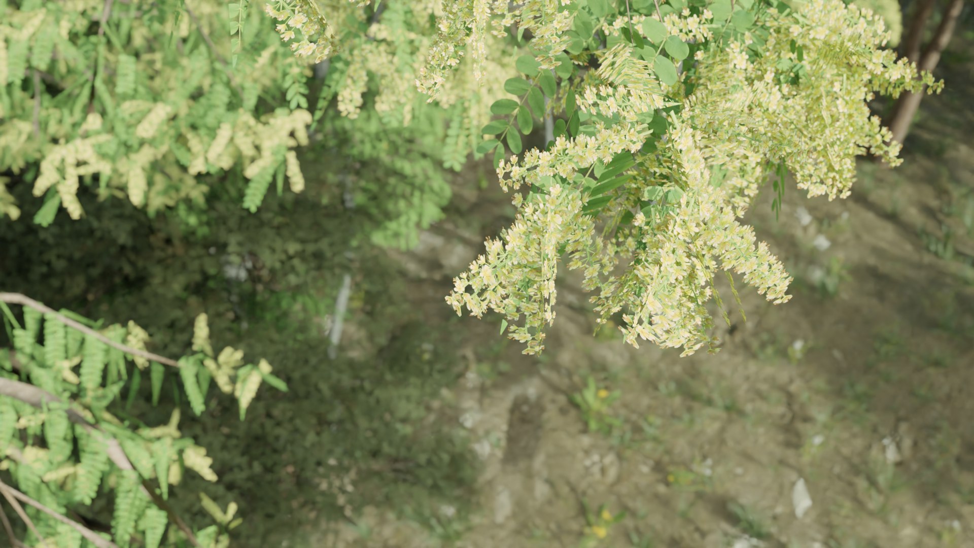 Most Realistic FOREST 3D Model - TurboSquid 2294892