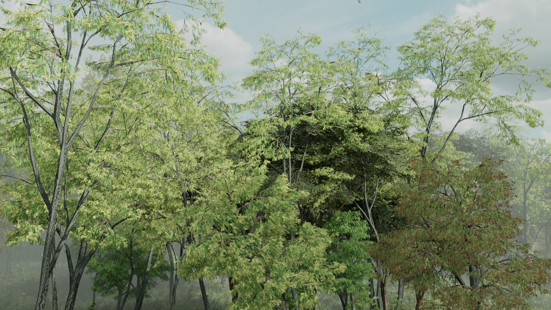 Most Realistic FOREST 3D Model - TurboSquid 2294892