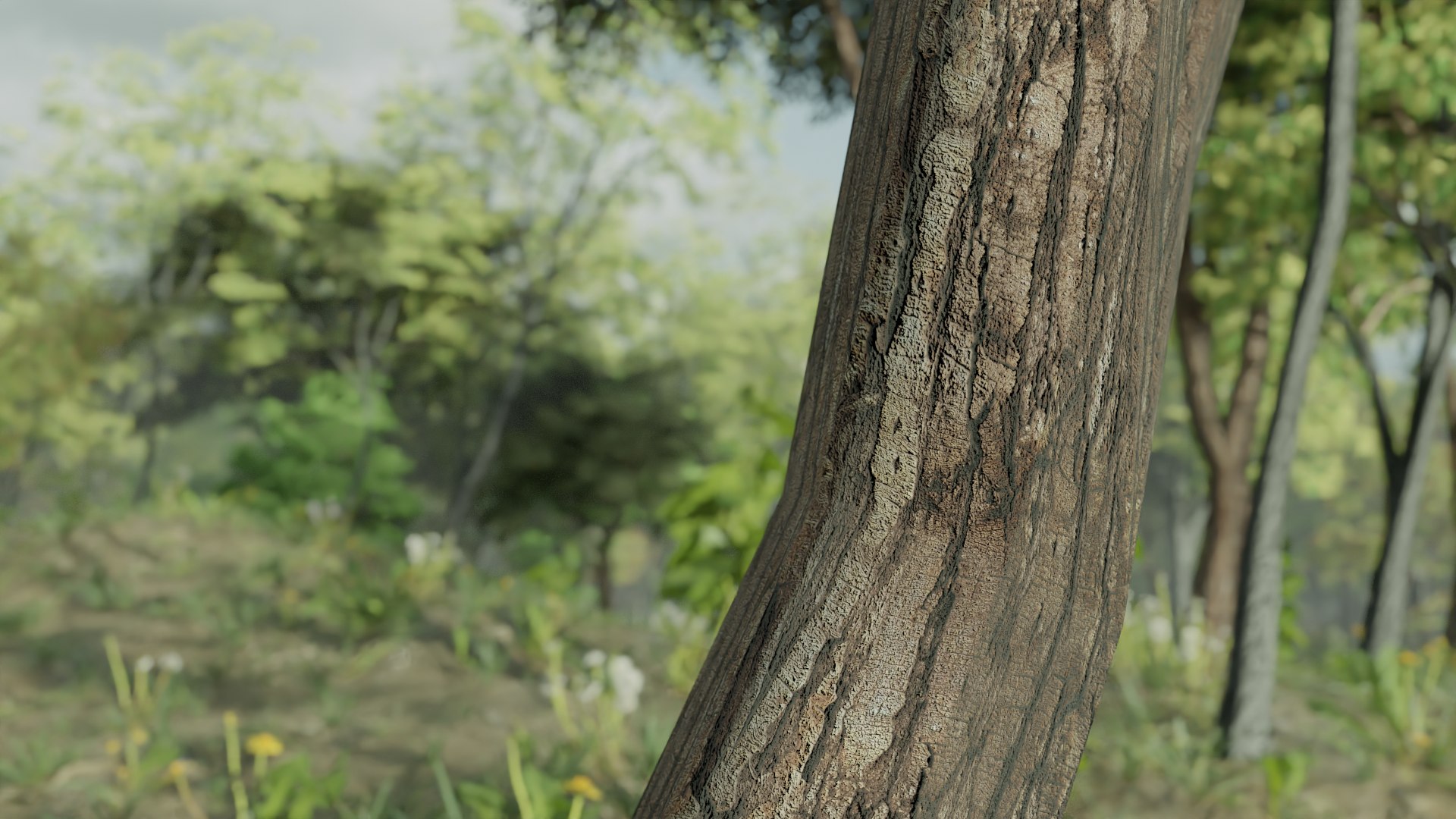 Most Realistic FOREST 3D Model - TurboSquid 2294892