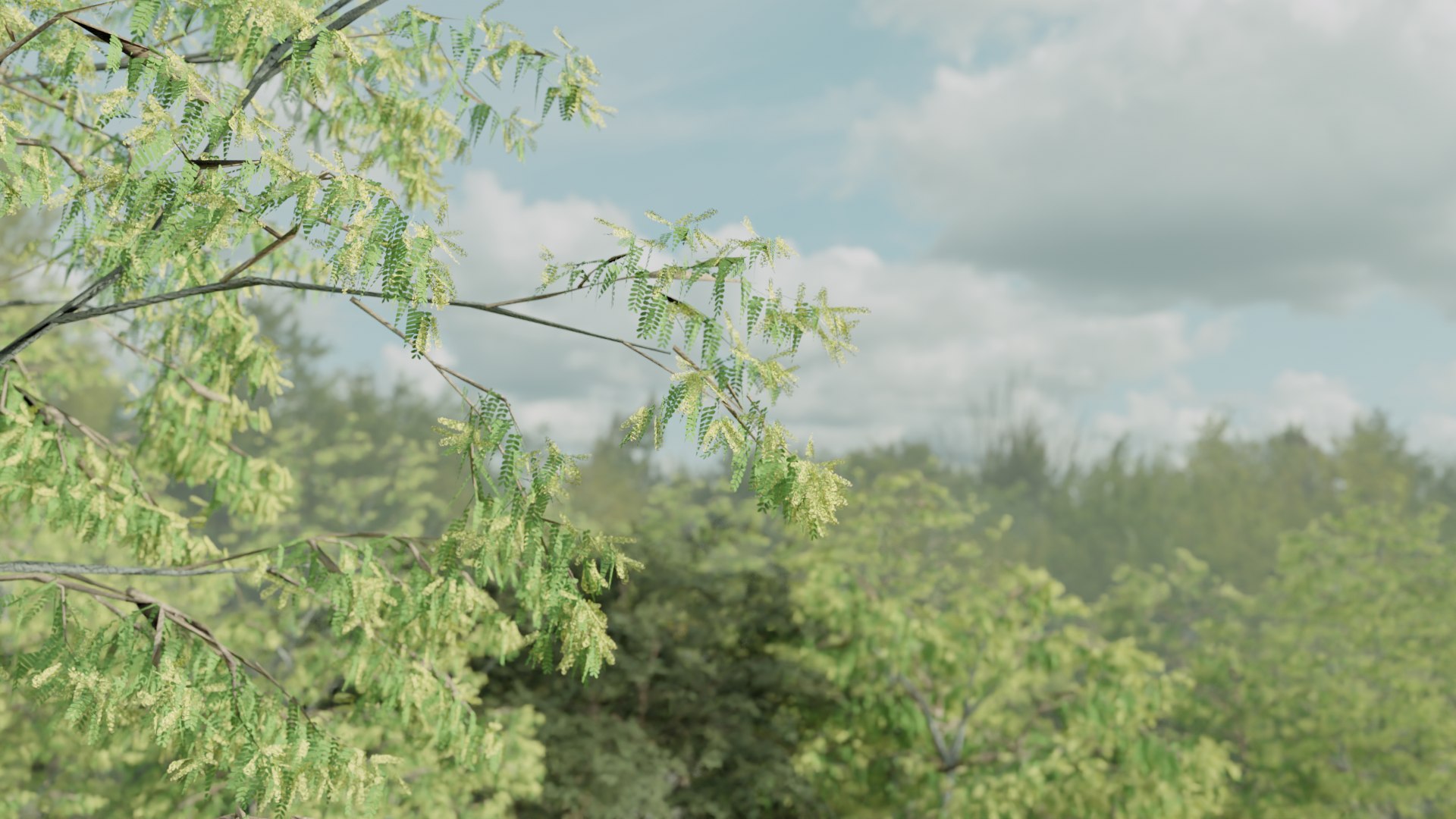 Most Realistic FOREST 3D Model - TurboSquid 2294892