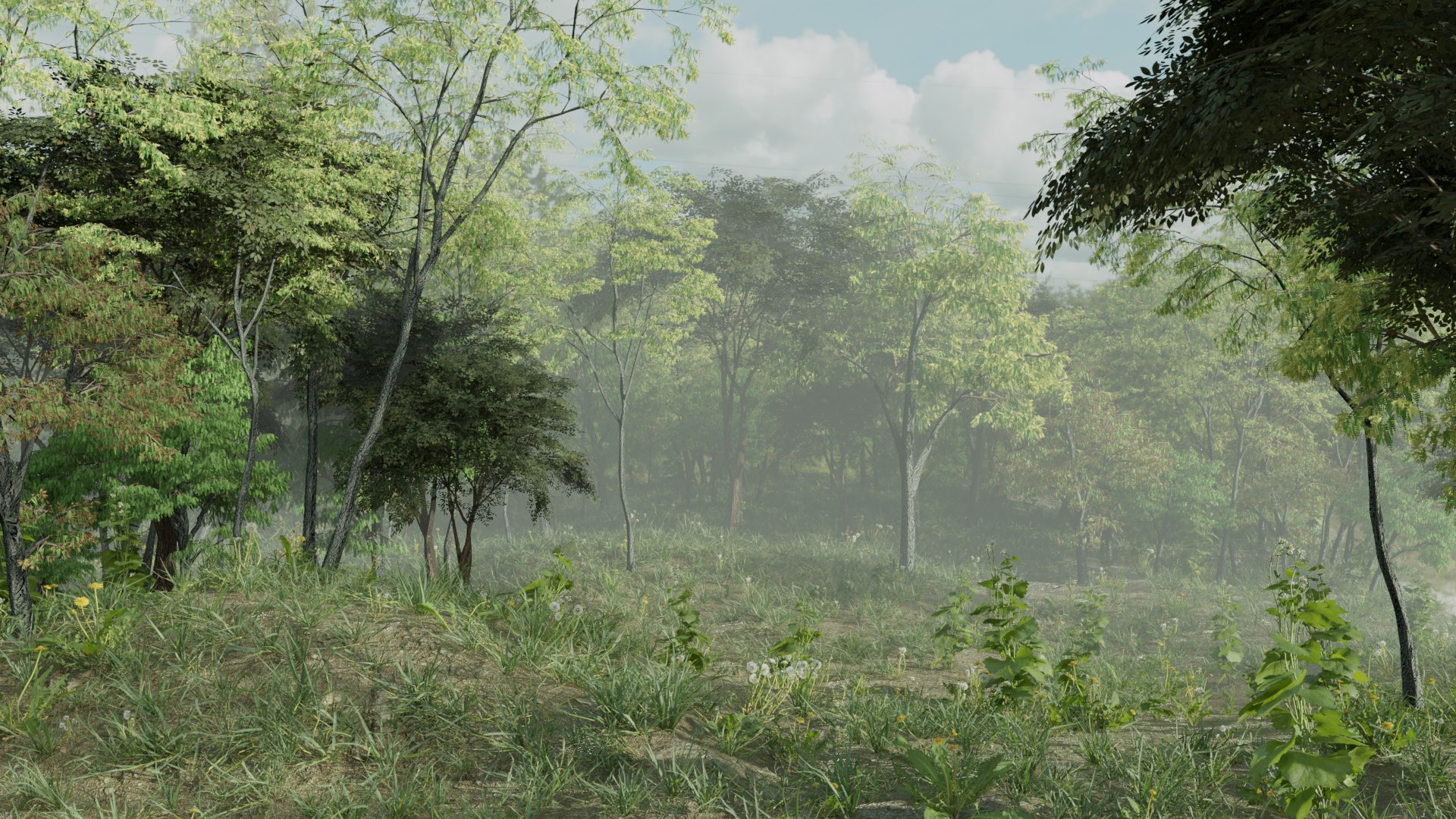 Most Realistic FOREST 3D Model - TurboSquid 2294892