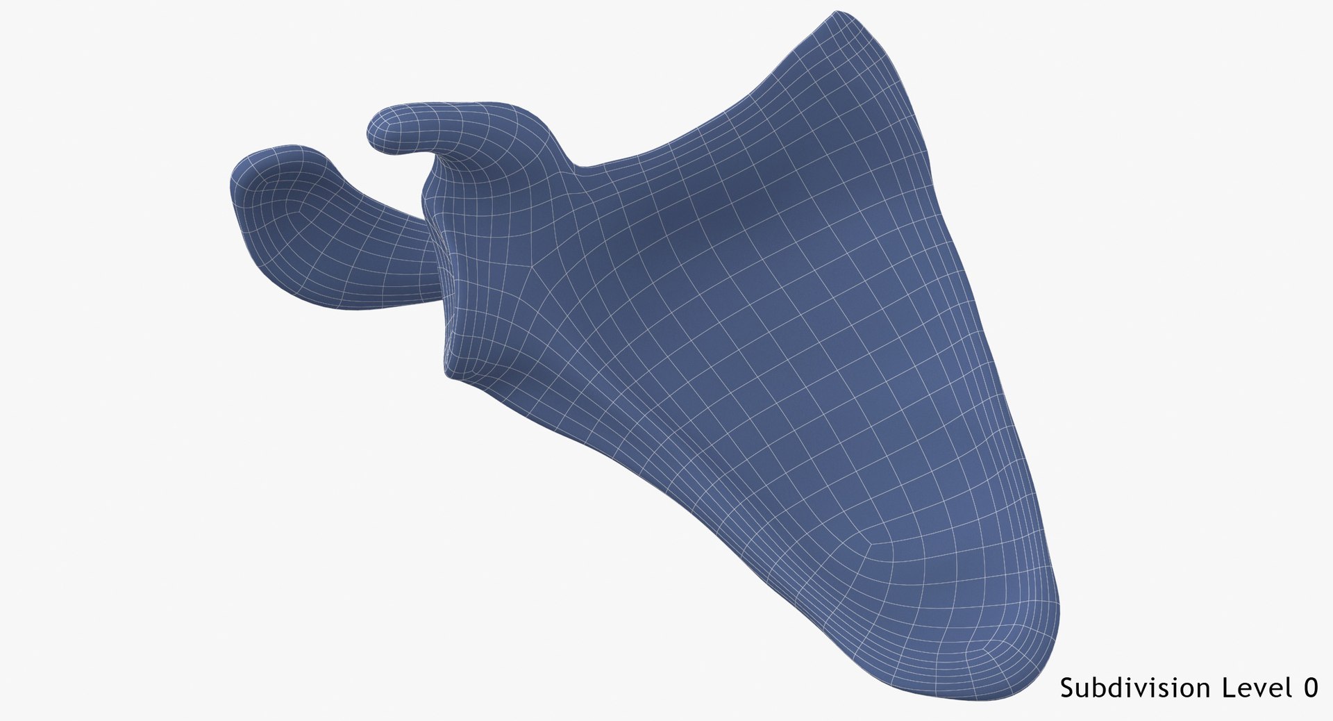 Human scapula bone 01 3D model - TurboSquid 1538253