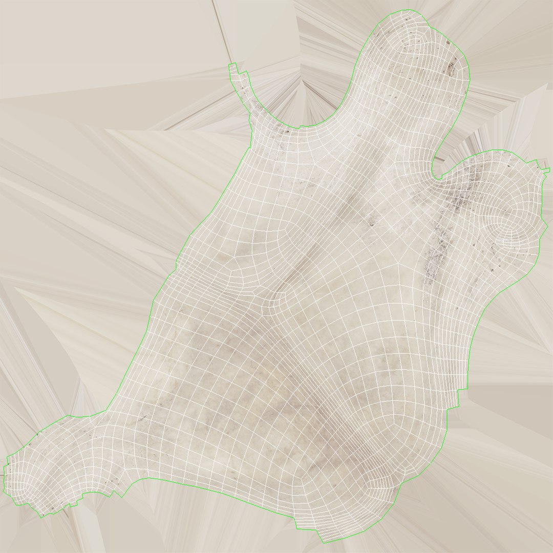 Human scapula bone 01 3D model - TurboSquid 1538253