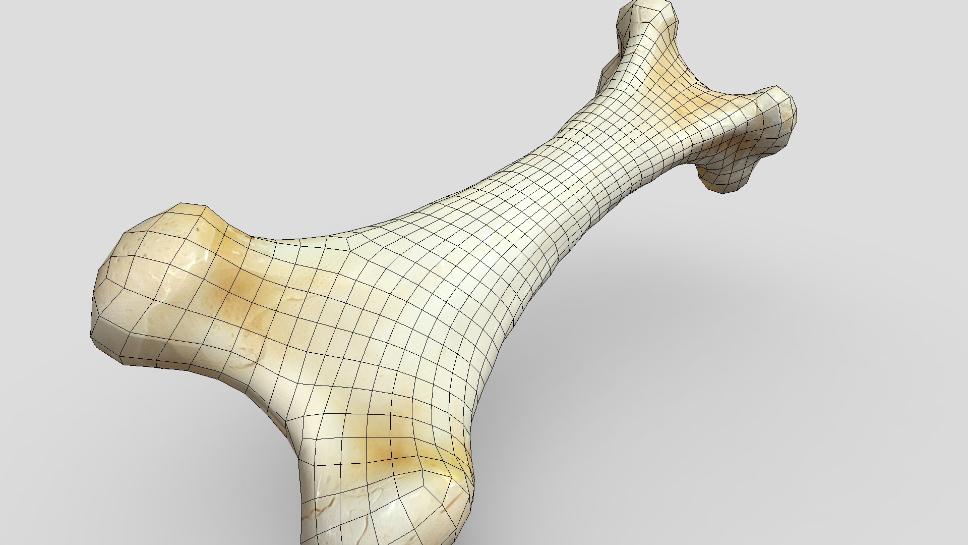 Bone 3D Model - TurboSquid 2252441
