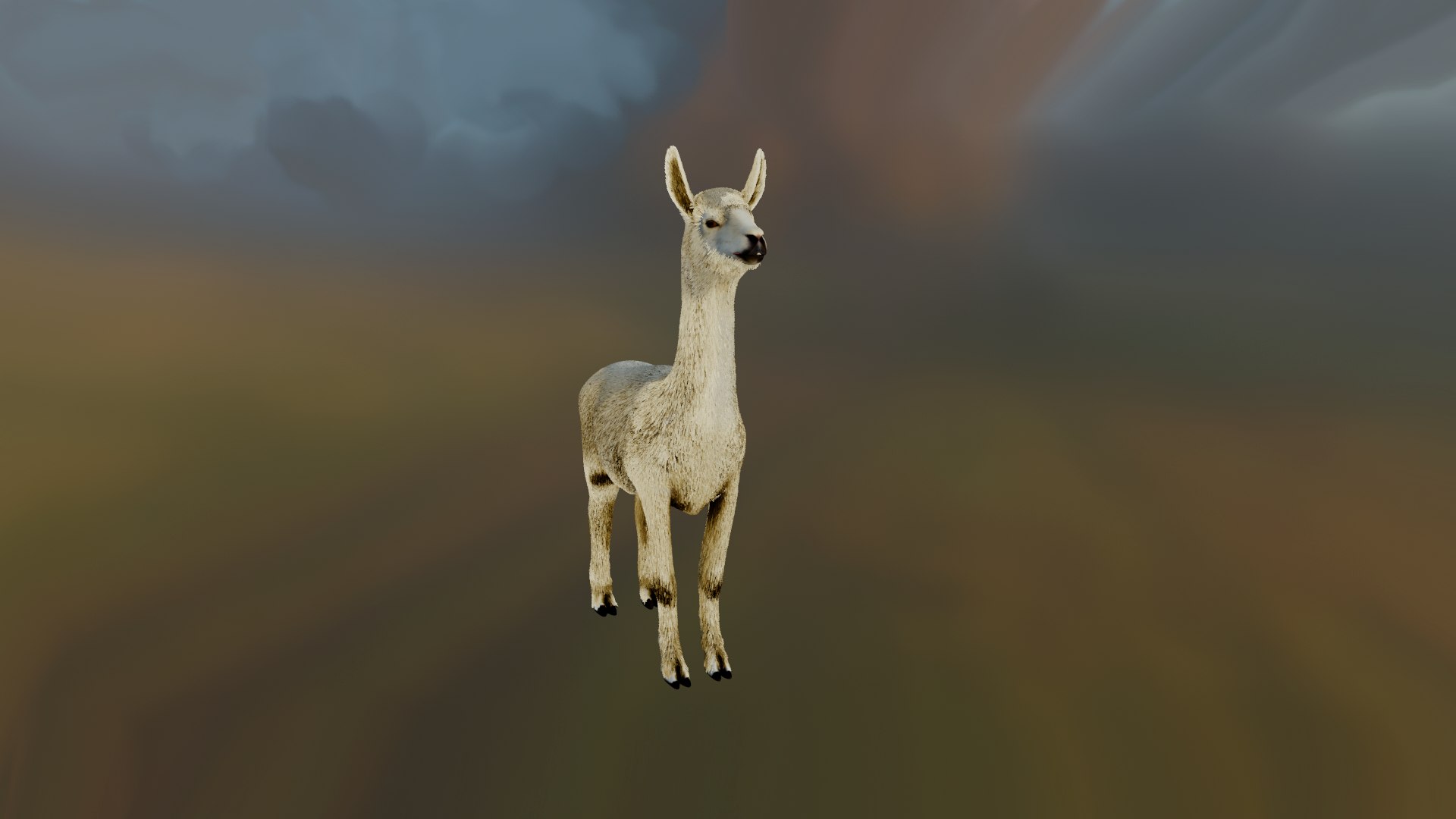 Alpaca 3D Model - TurboSquid 1937140