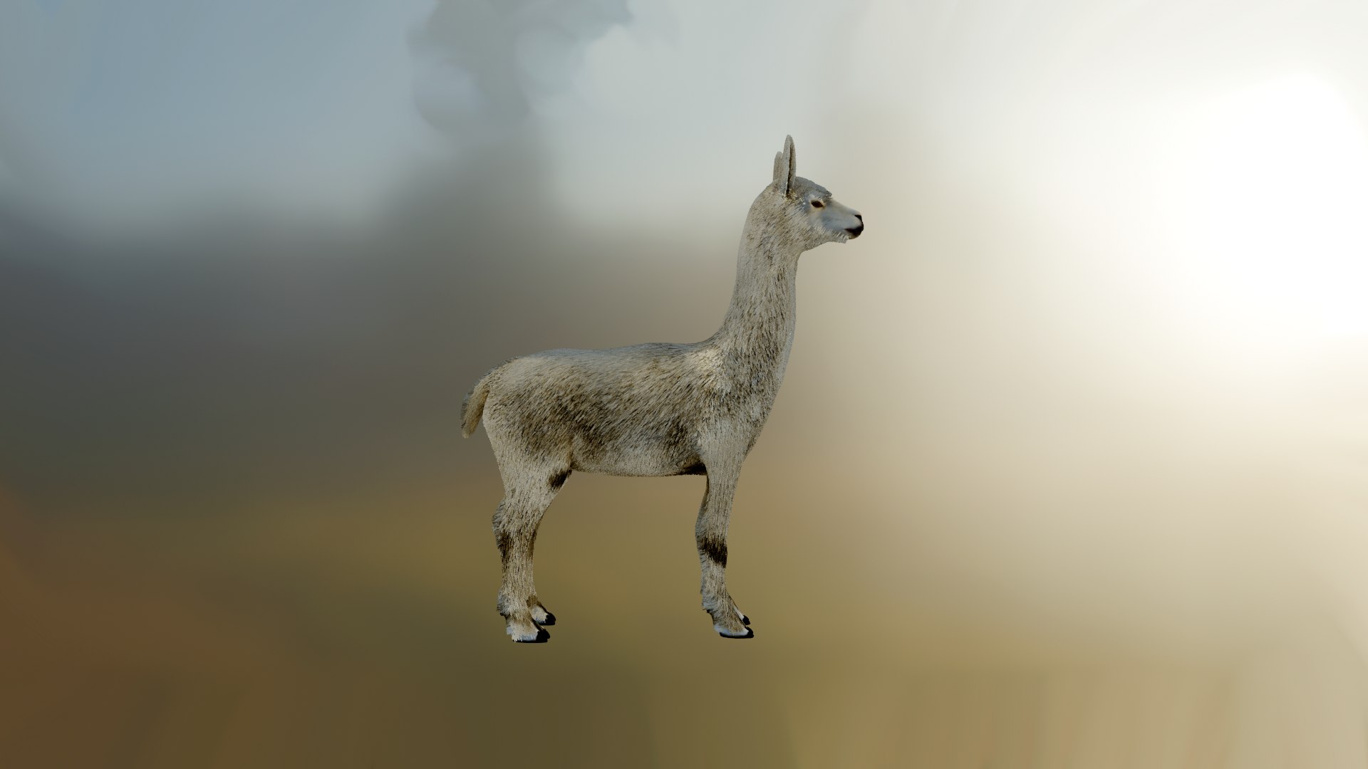 Alpaca 3D Model - TurboSquid 1937140