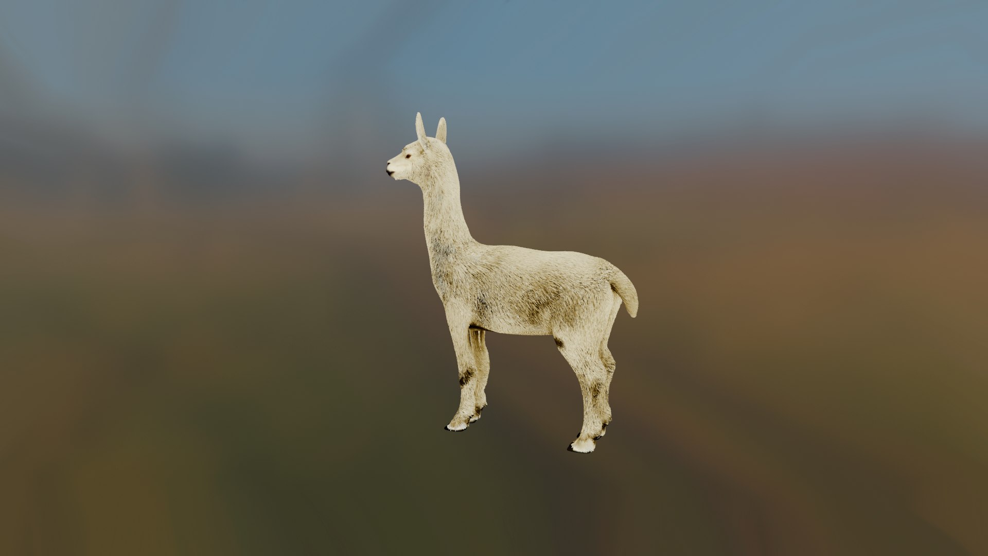 Alpaca 3D Model - TurboSquid 1937140