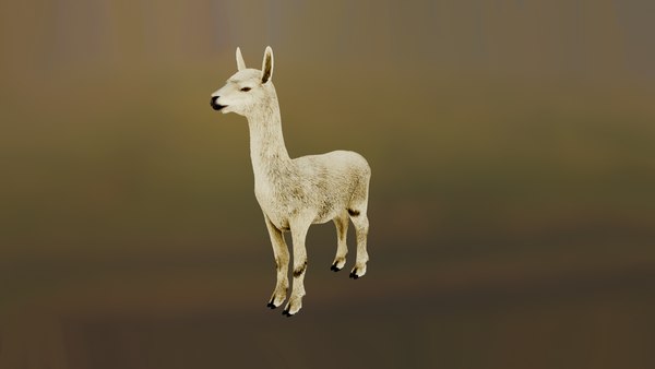 Alpaca 3D model - TurboSquid 1937140