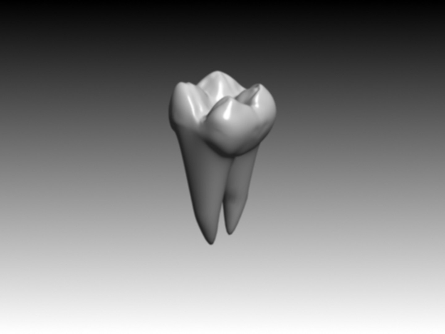 Second Molar Mandibular 3d Model