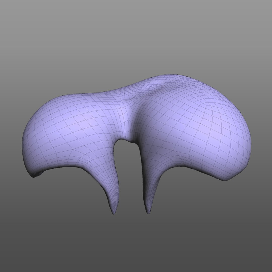 Human Diaphragm 3D Model - TurboSquid 1521160