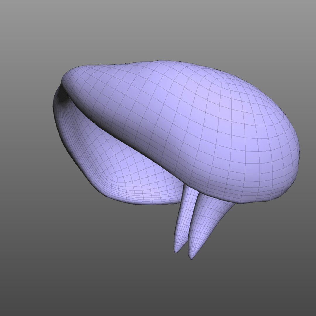 Human Diaphragm 3D Model - TurboSquid 1521160
