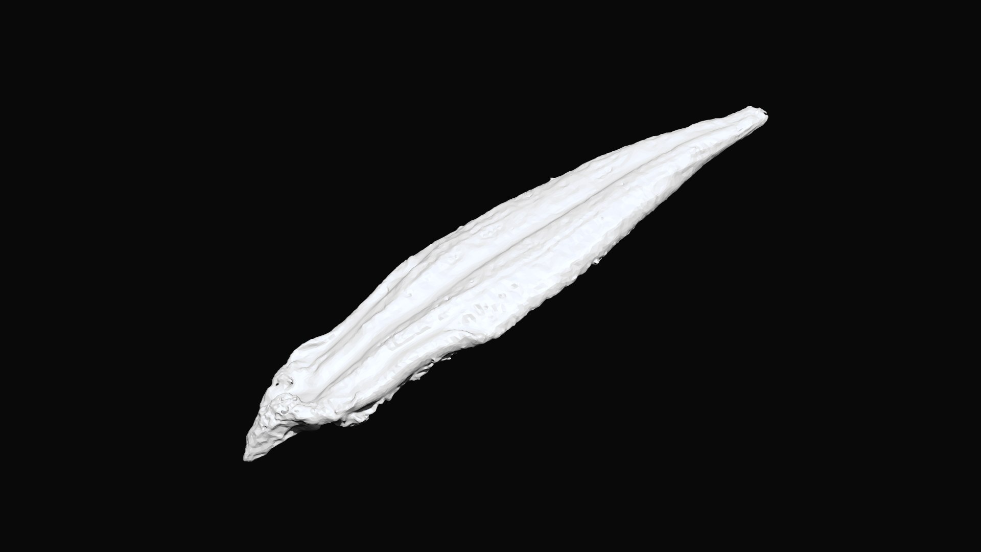 Grilled Eel 3D CT Scan Model Decimate 10 Percent 3D Model - TurboSquid ...