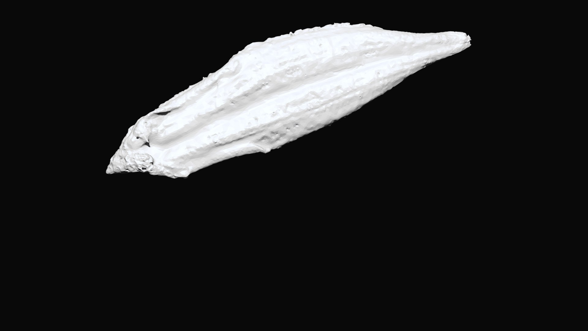 Grilled Eel 3D CT Scan Model Decimate 10 Percent 3D Model - TurboSquid ...