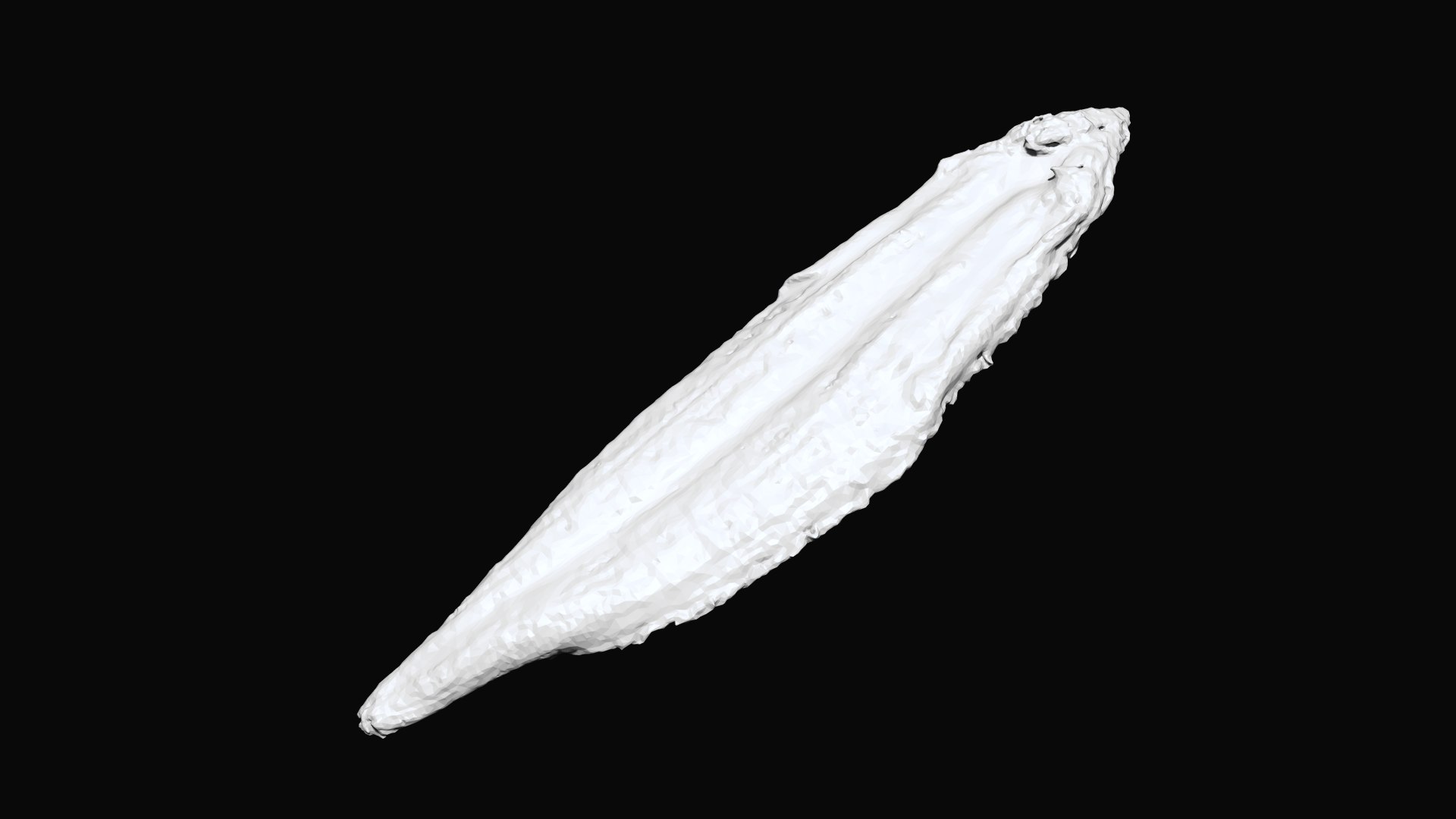 Grilled Eel 3D CT Scan Model Decimate 10 Percent 3D Model - TurboSquid ...