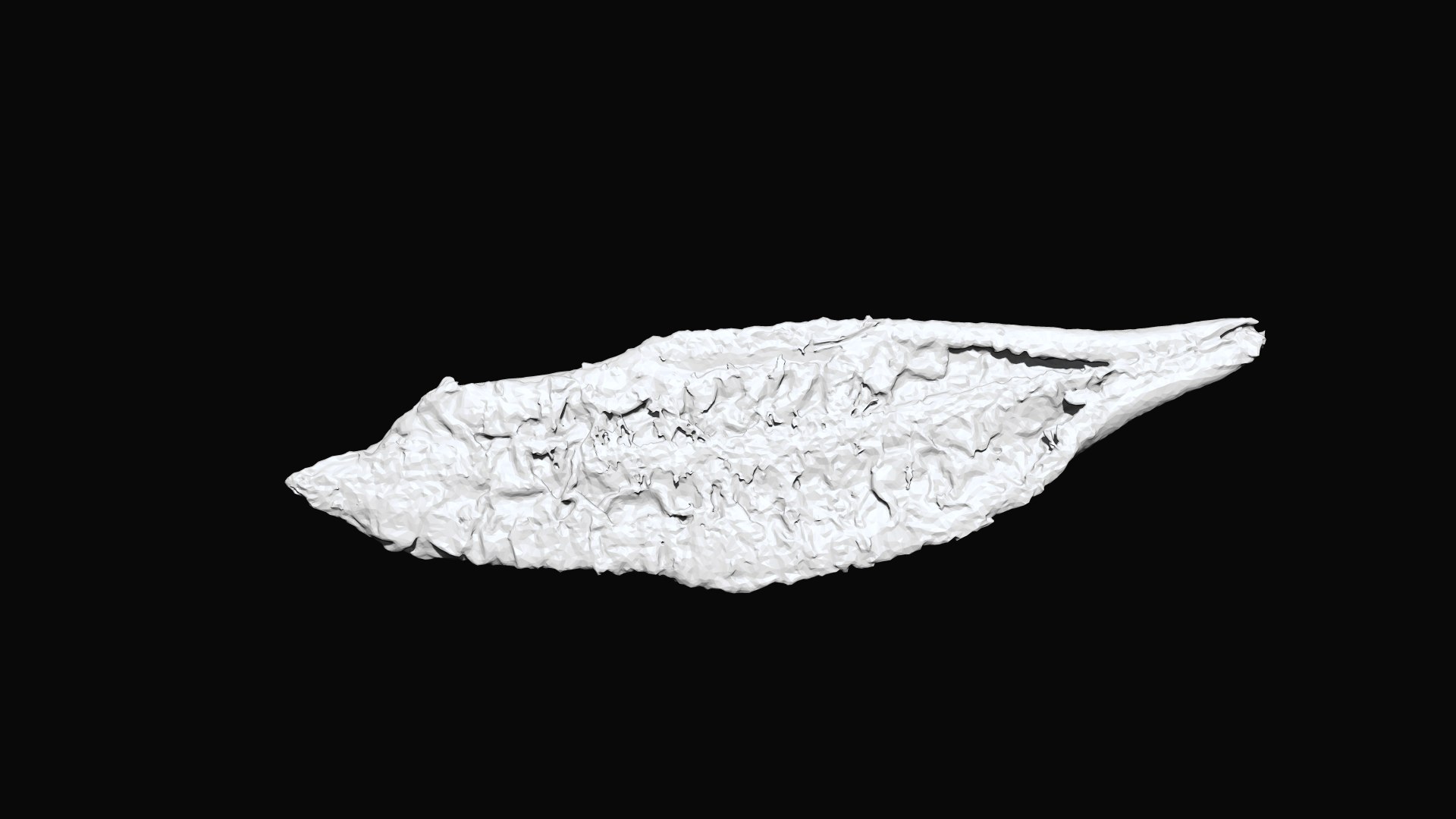 Grilled Eel 3D CT Scan Model Decimate 10 Percent 3D Model - TurboSquid ...