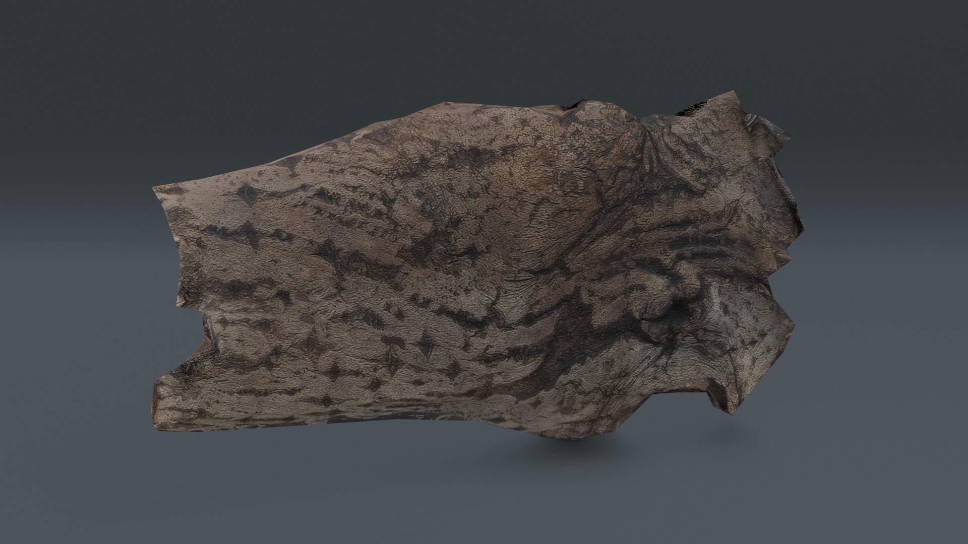 3D Tree Bark 01 Lowpoly - TurboSquid 2189542
