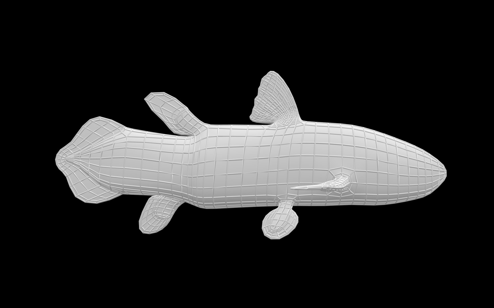 Base Latimeria Chalumnae Coelacanth 3D Model - TurboSquid 1496969