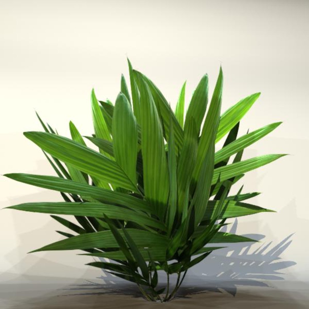 pc bush 3d model