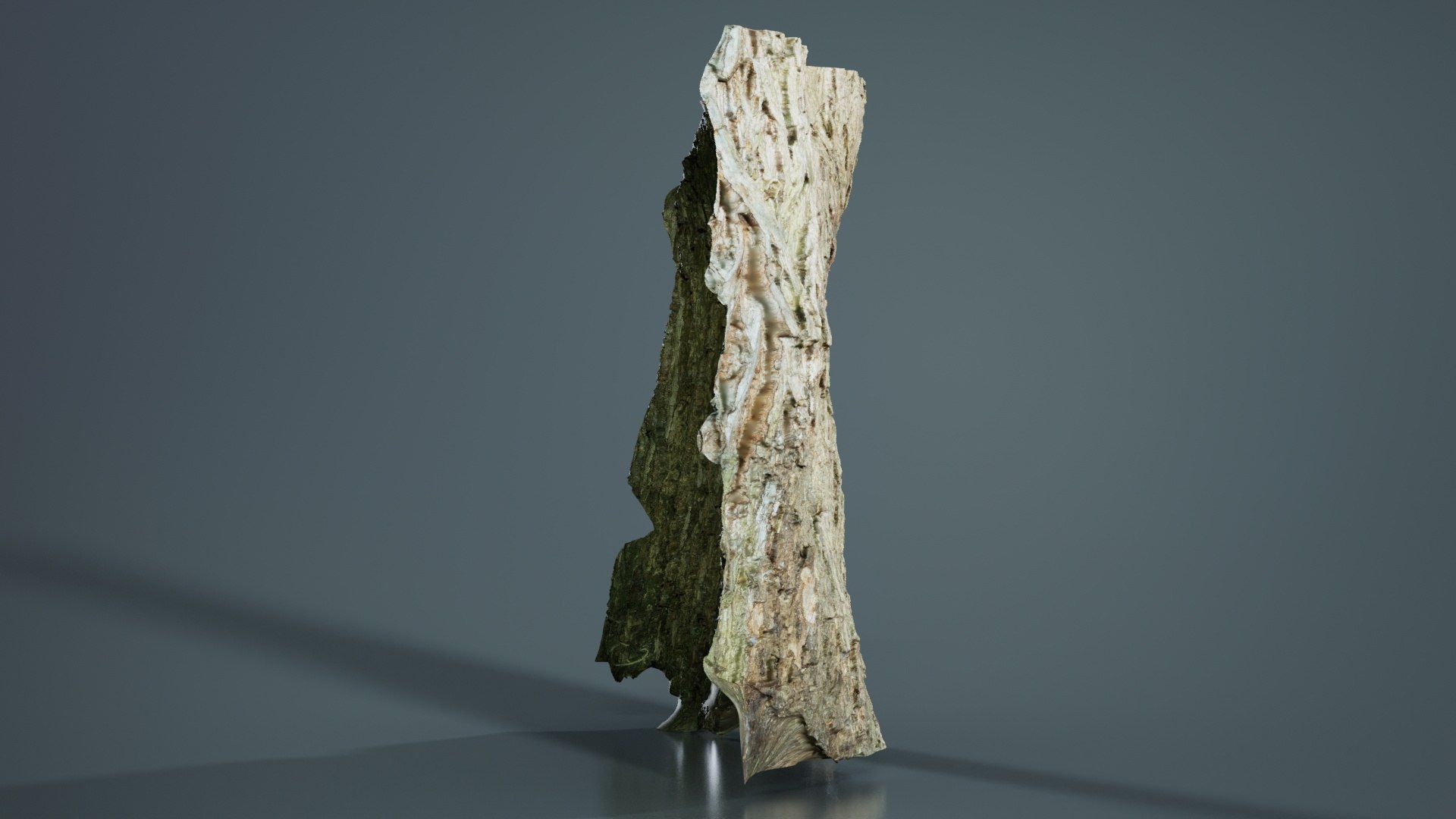3D Tree Bark Chunk Remastered Model - TurboSquid 2362715