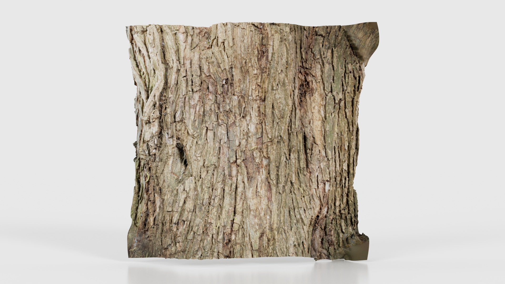 3D Tree Bark Chunk Remastered Model - TurboSquid 2362715