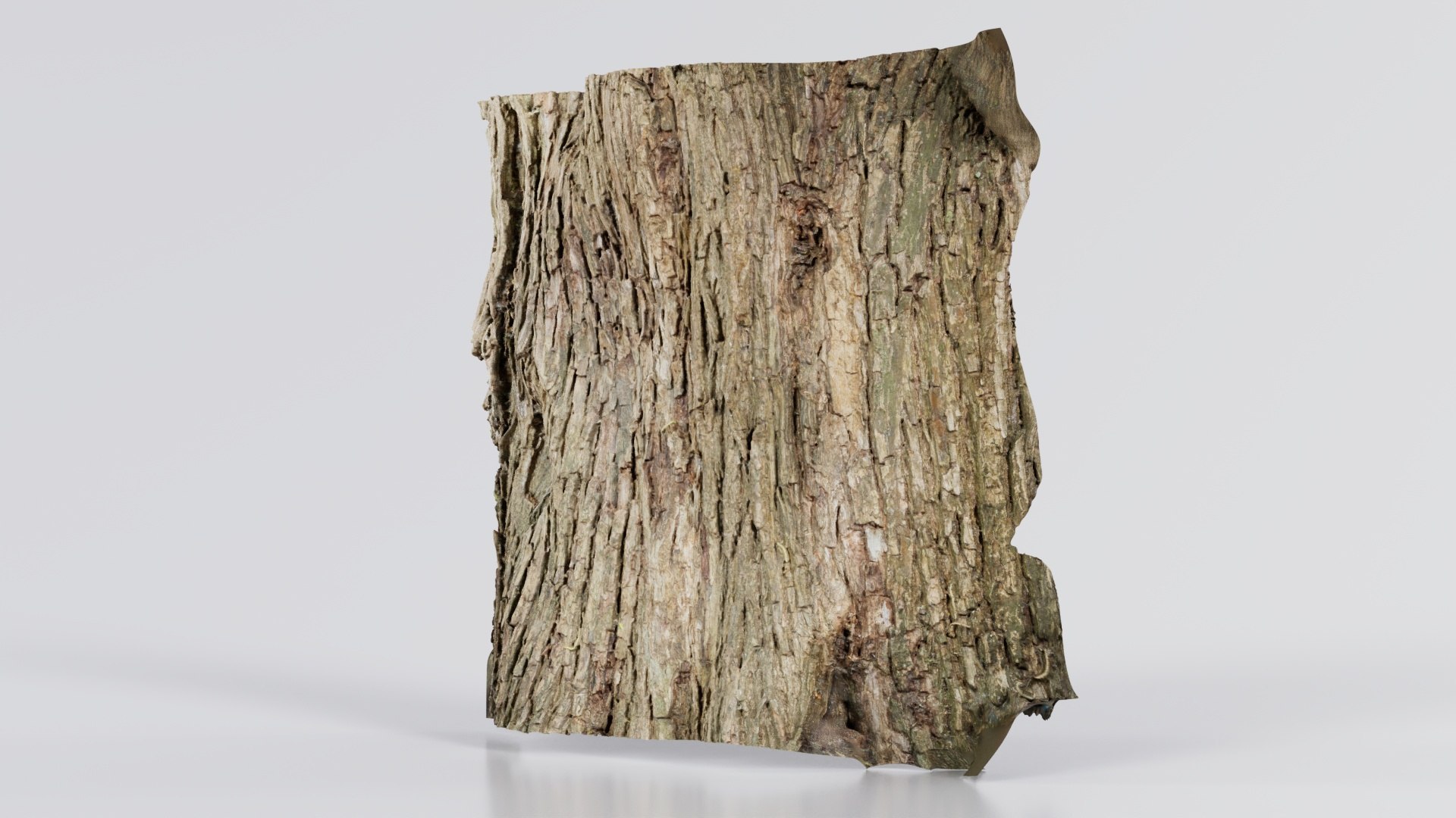 3D Tree Bark Chunk Remastered Model - TurboSquid 2362715