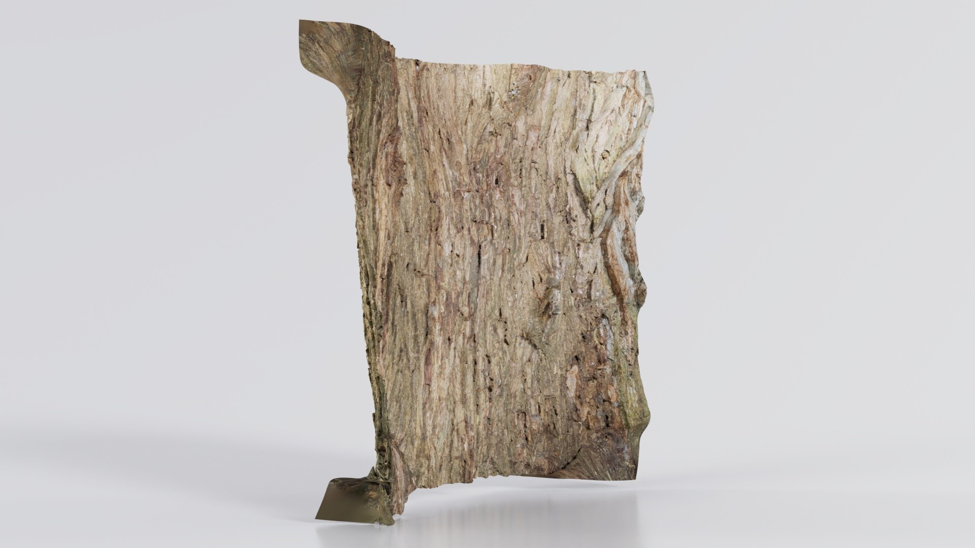 3D Tree Bark Chunk Remastered Model - TurboSquid 2362715
