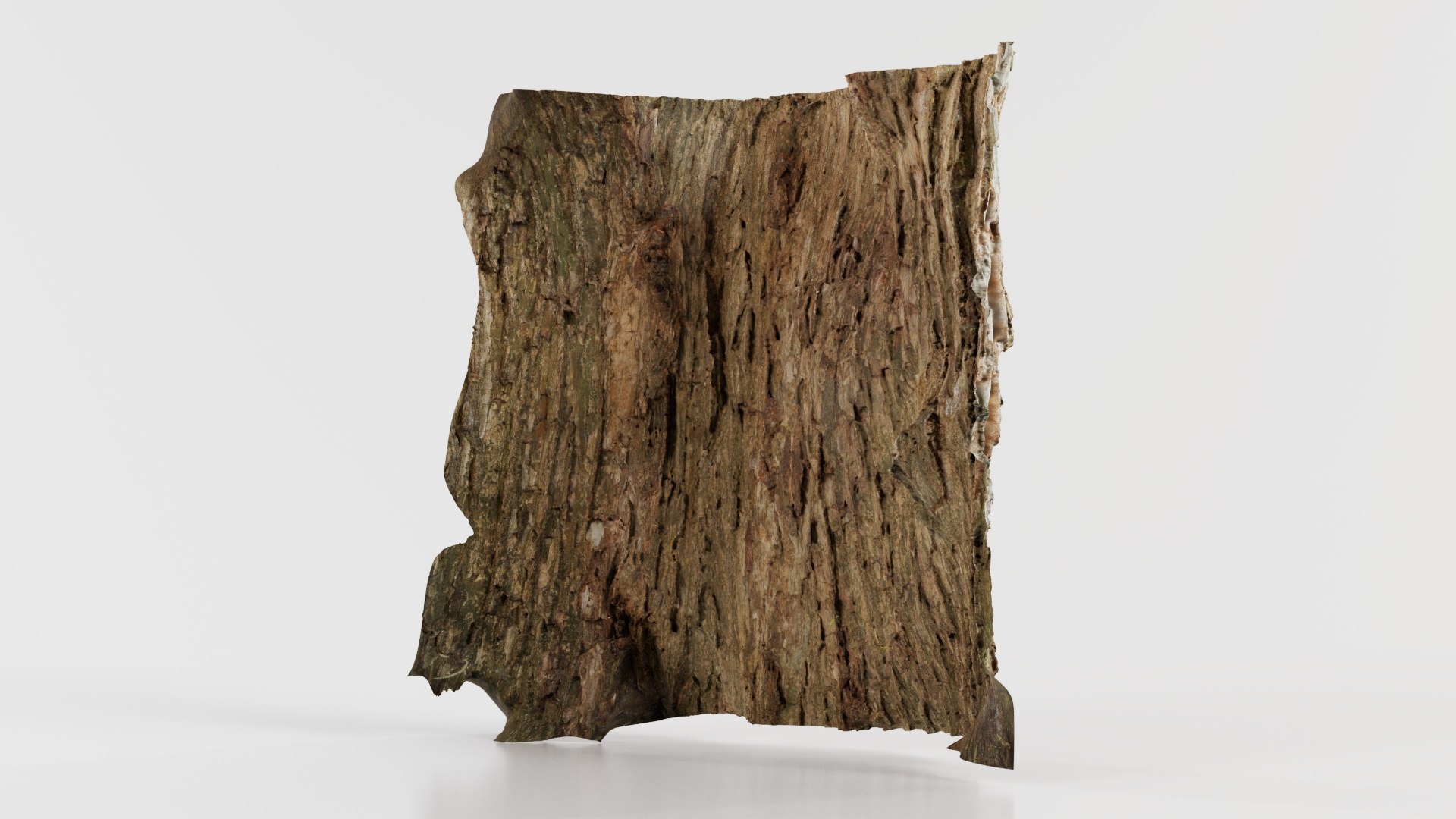 3D Tree Bark Chunk Remastered Model - TurboSquid 2362715