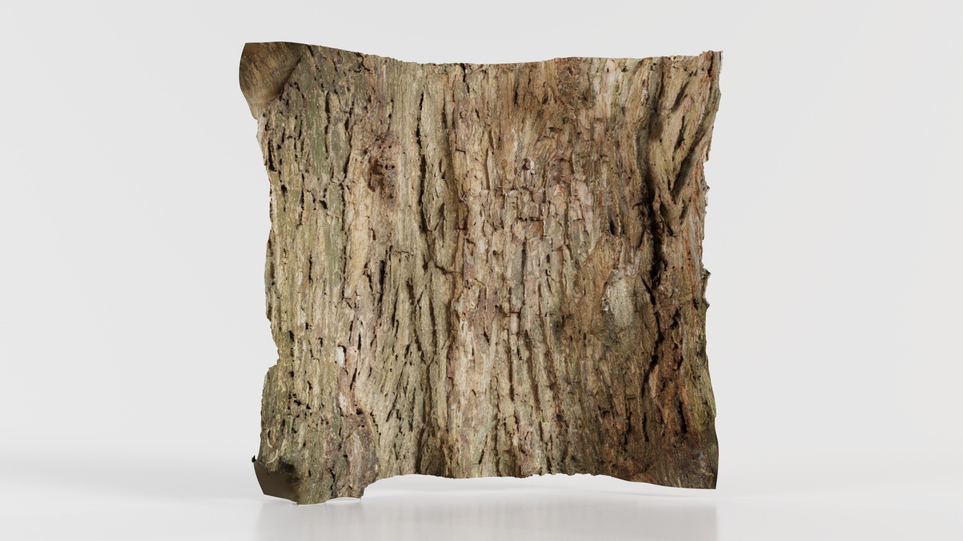 3D Tree Bark Chunk Remastered Model - TurboSquid 2362715