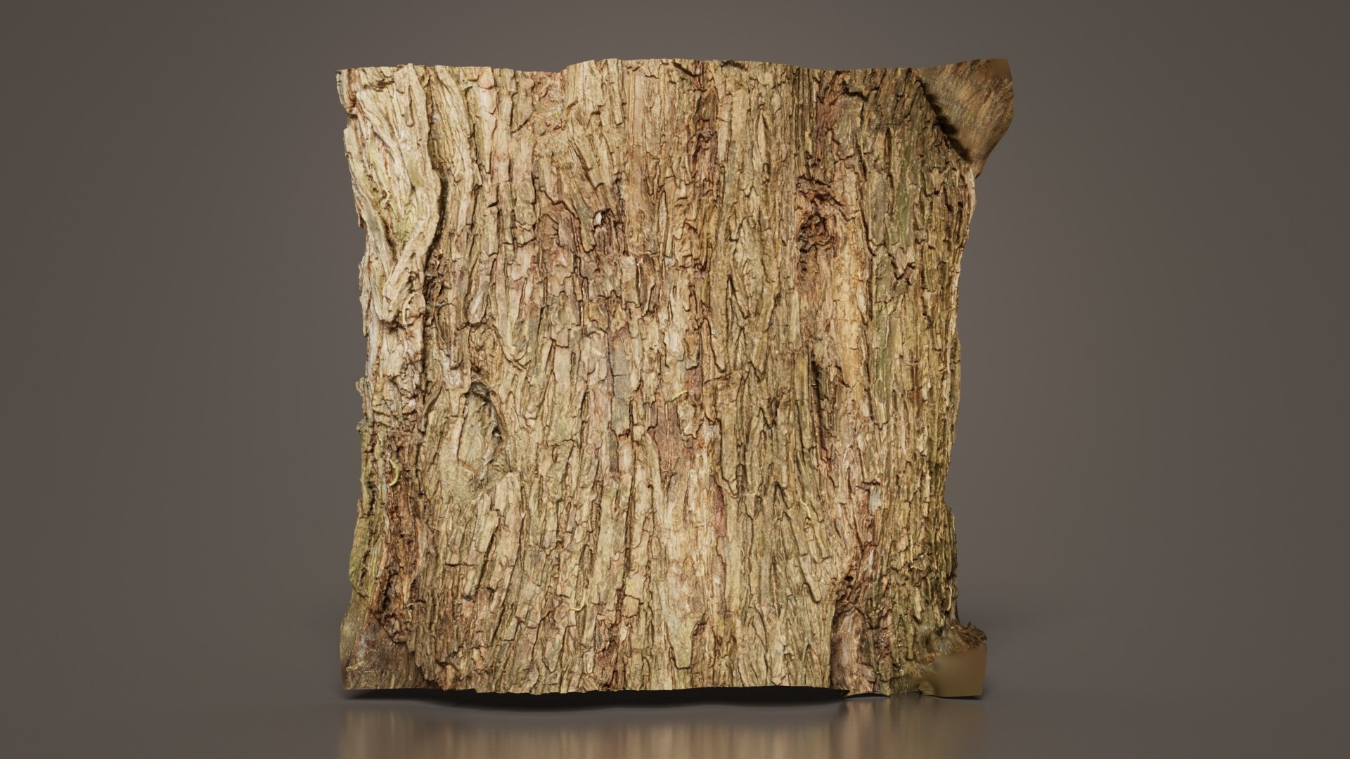 3D Tree Bark Chunk Remastered Model - TurboSquid 2362715