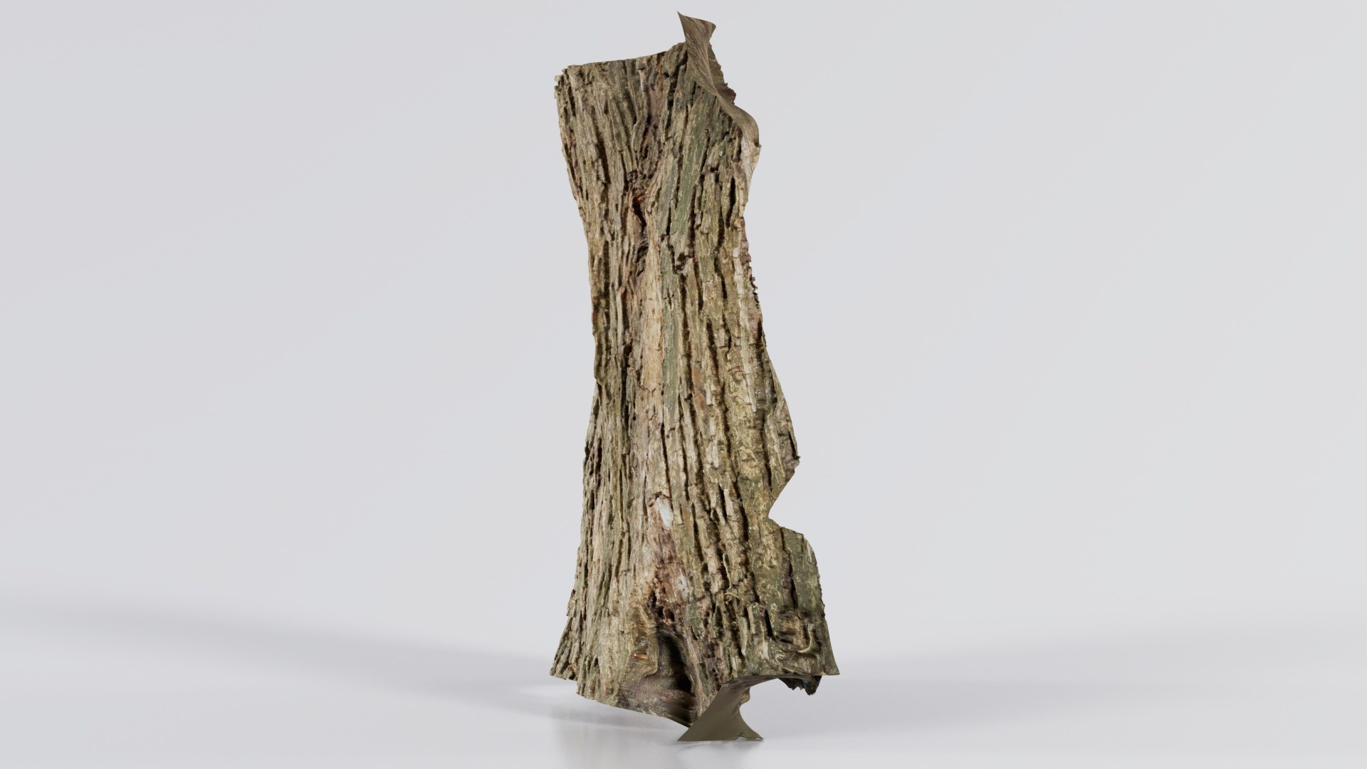 3D Tree Bark Chunk Remastered Model - TurboSquid 2362715