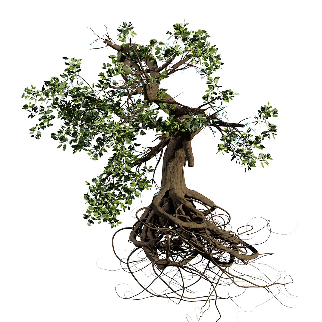 3D Spooky Haunted Trees 3D Model Model - TurboSquid 2118617