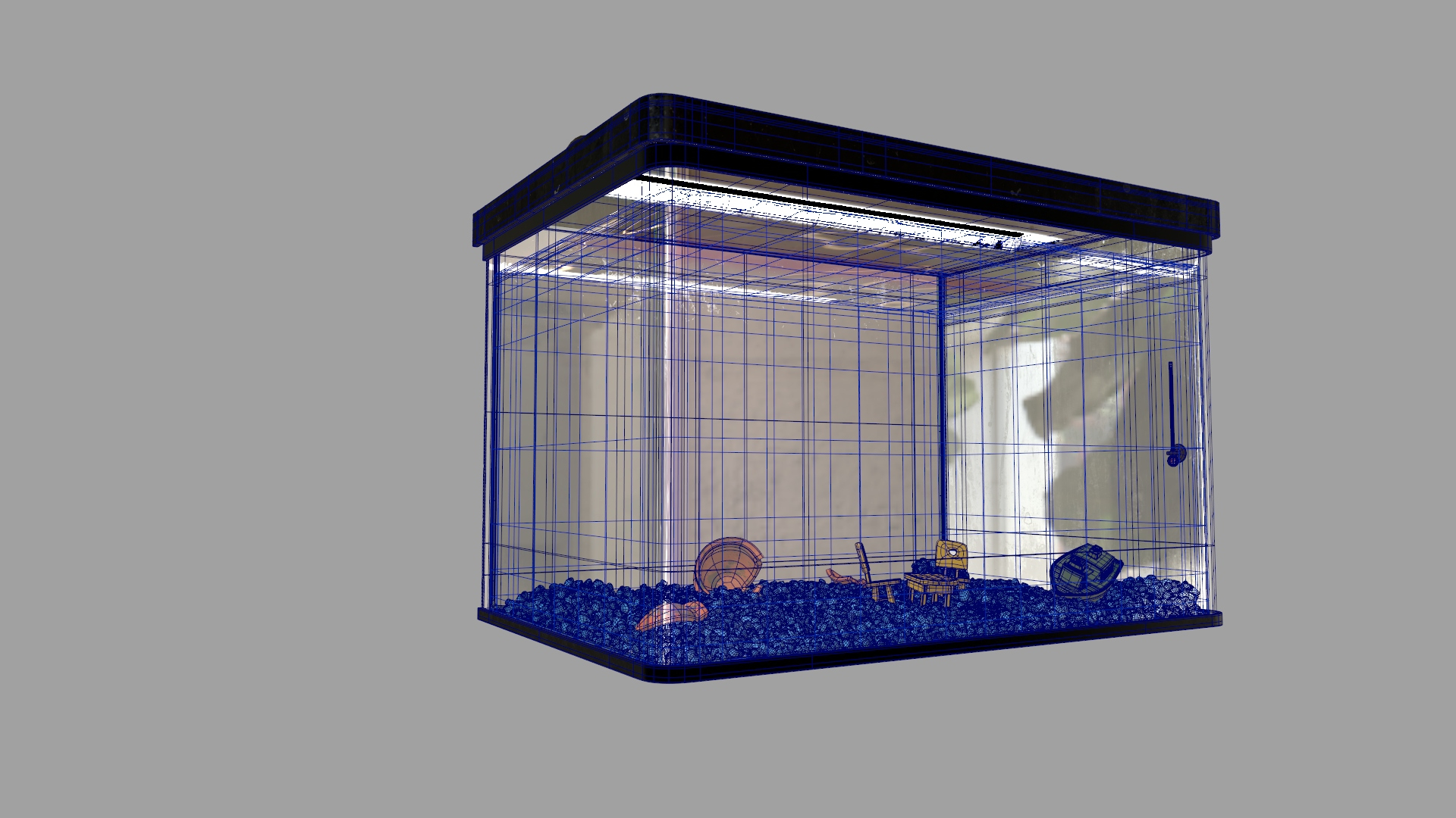 Simple Cartoon Aquarium Animation 3D Model - TurboSquid 1618821