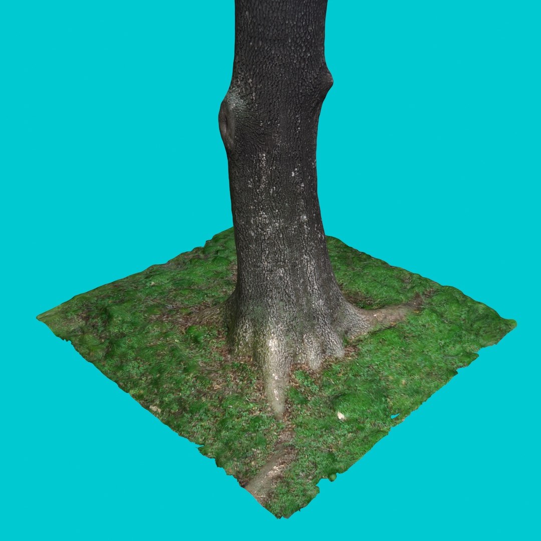 3d model tree trunk 6