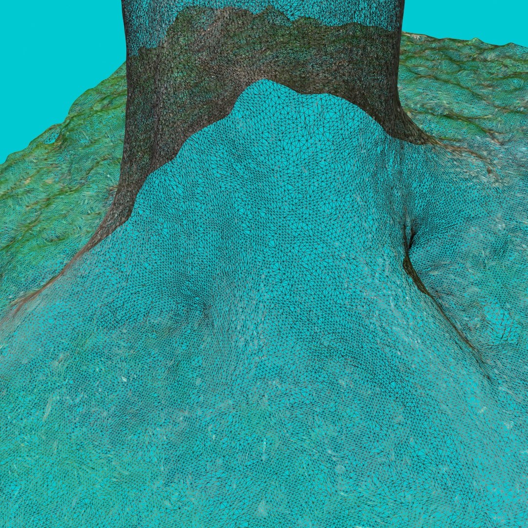 3d model tree trunk 6