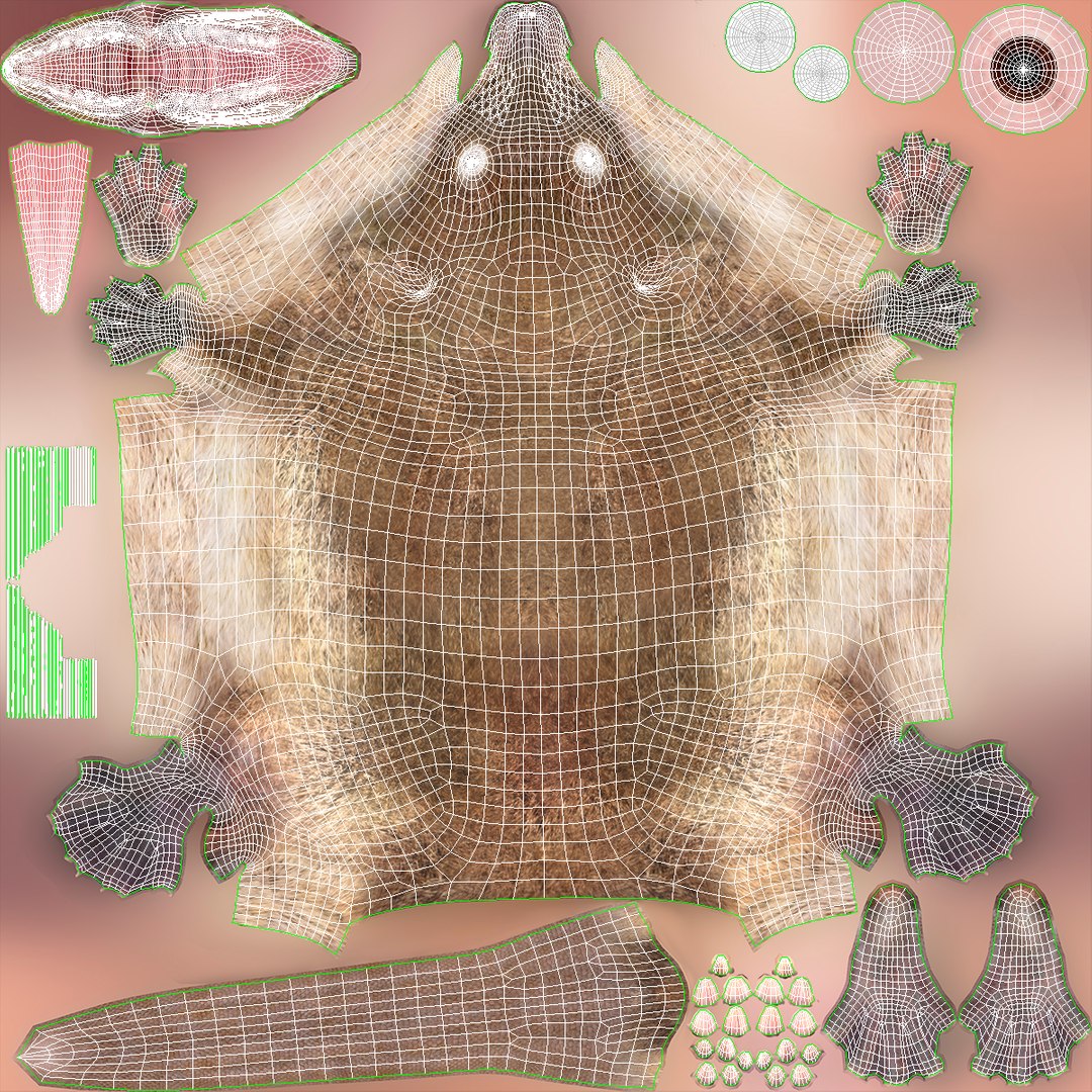 Desman Mammal Idle Pose Fur 3D Model - TurboSquid 2185798