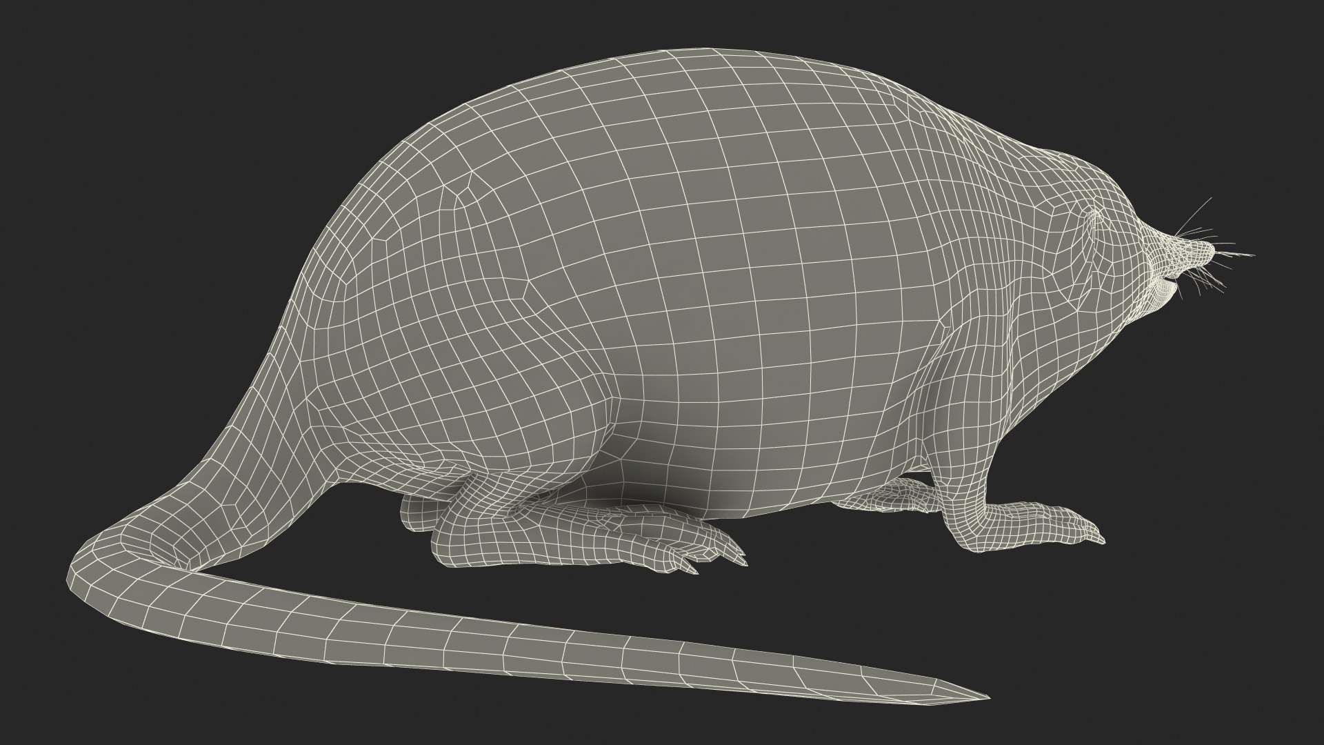 Desman Mammal Idle Pose Fur 3D Model - TurboSquid 2185798