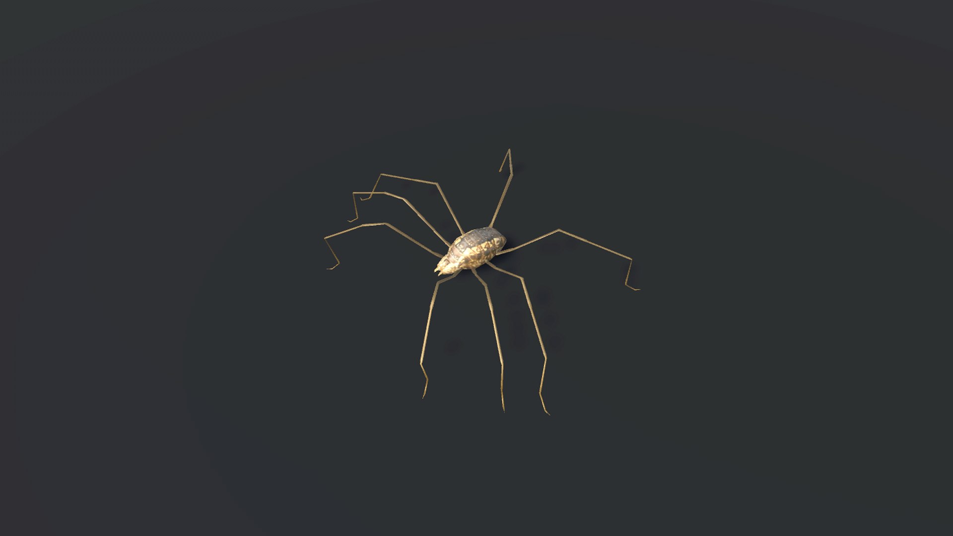 3D Vr Spider Model - TurboSquid 1436433