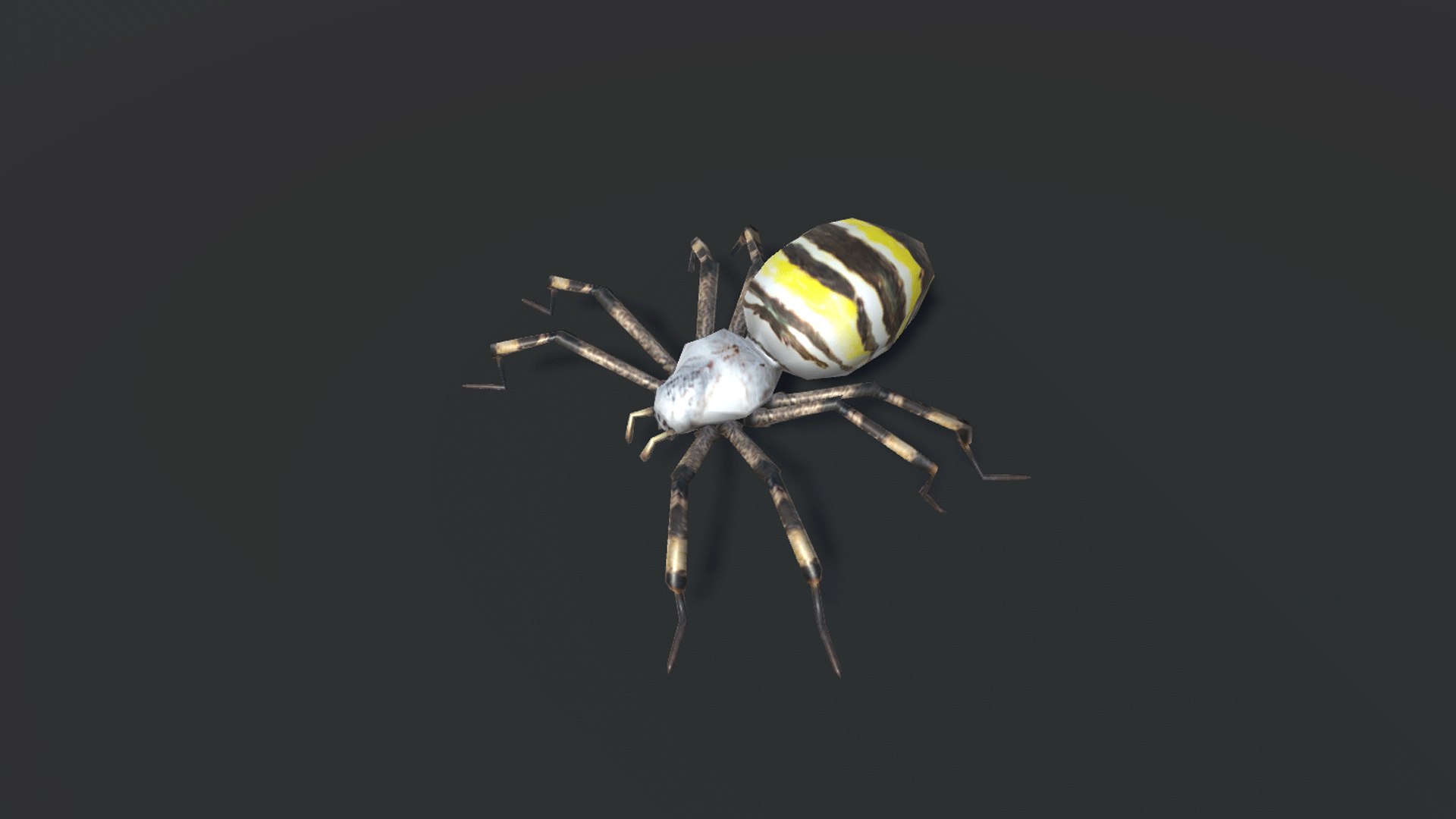 3D Vr Spider Model - TurboSquid 1436433
