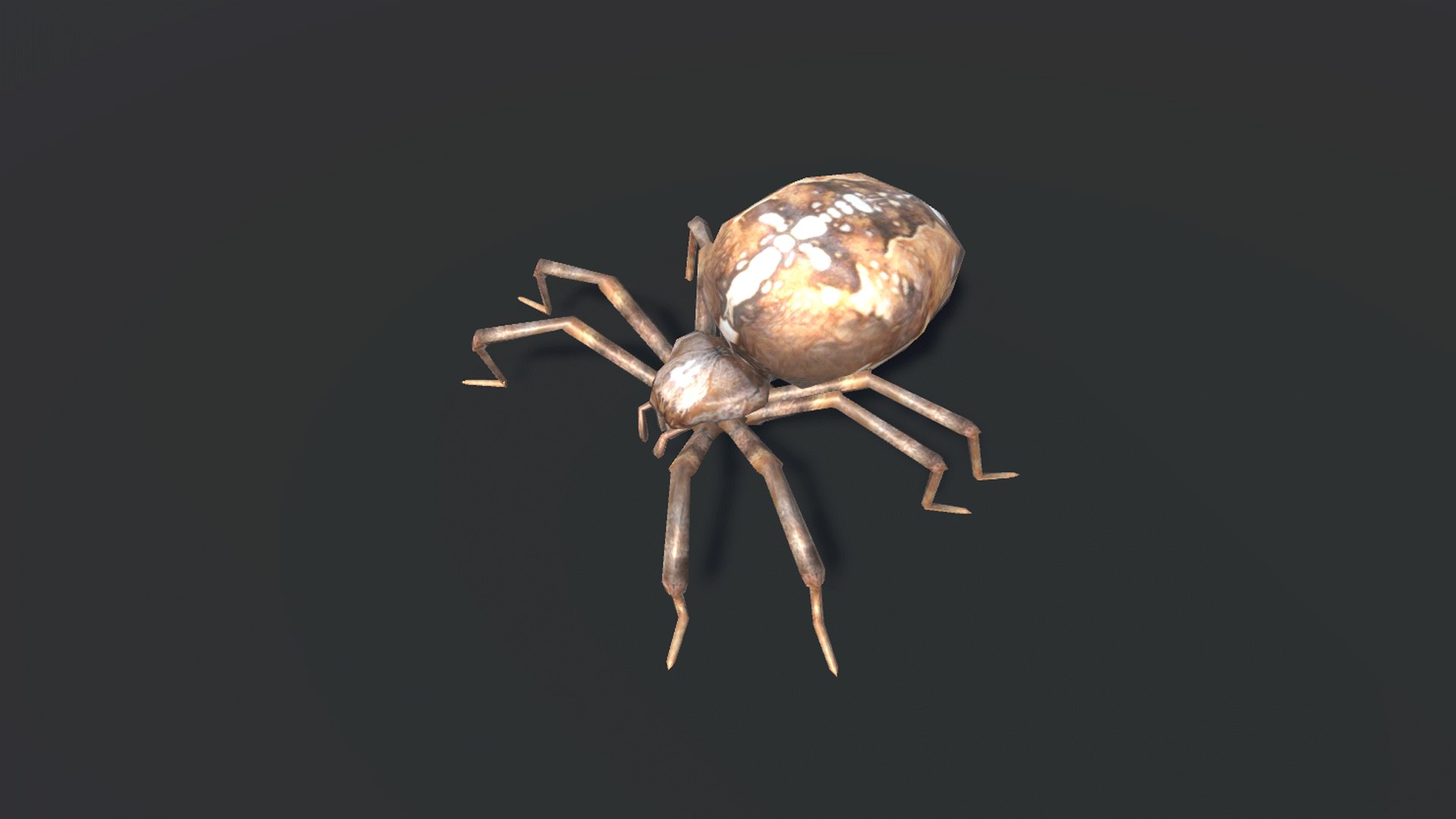 3D Vr Spider Model - TurboSquid 1436433
