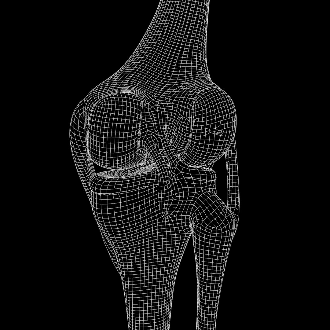 Knee joint 3D model - TurboSquid 1434942